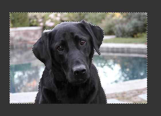 How to Remove Background in Photoshop - PSD Stack