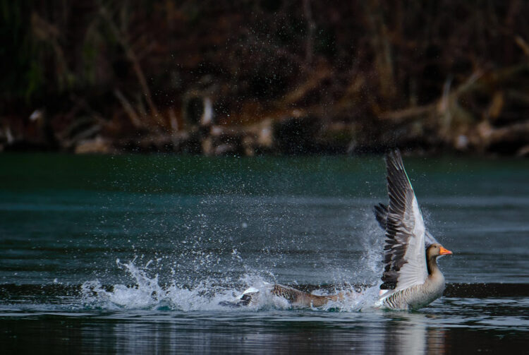 Shutter Speed, ISO & Aperture: A Brief Overview - PSD Stack
