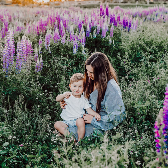 19 Copyright Free Images Sites (You'll Fall in Love With) - PSD Stack