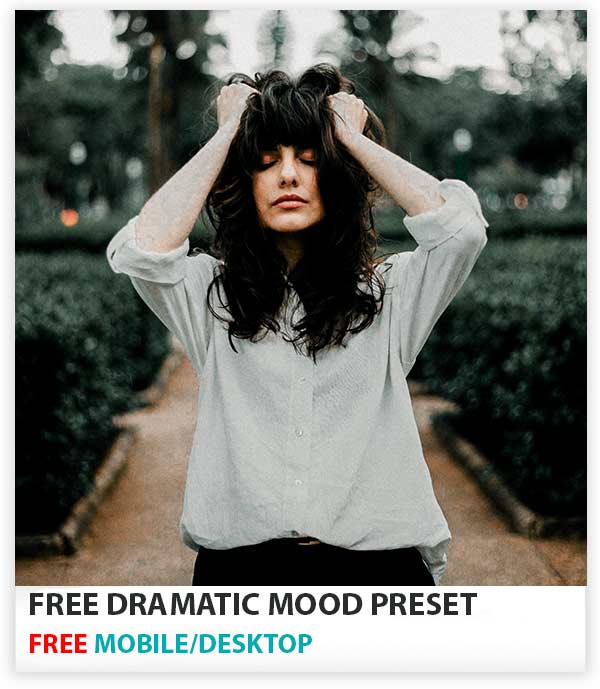 Free Dramatic Mood Preset - PSD Stack