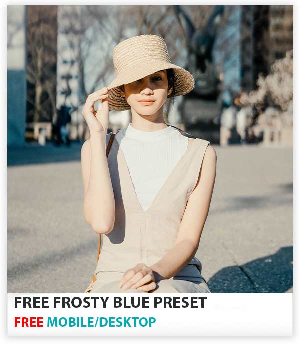 Free Fuji Portrait Preset - PSD Stack